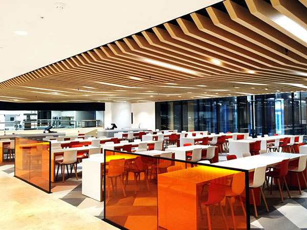 Introducing Fields Architectural Ceiling Rafts