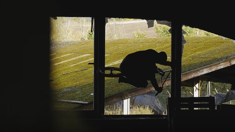 FBM - Joe Embrey Gypsy Compass - DIG BMX