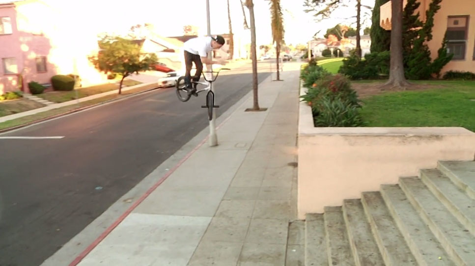 Sean Ricany - Pro Part - DIG BMX