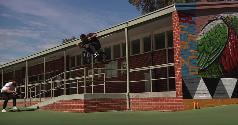 Animal - Tom Roddy - DIG BMX