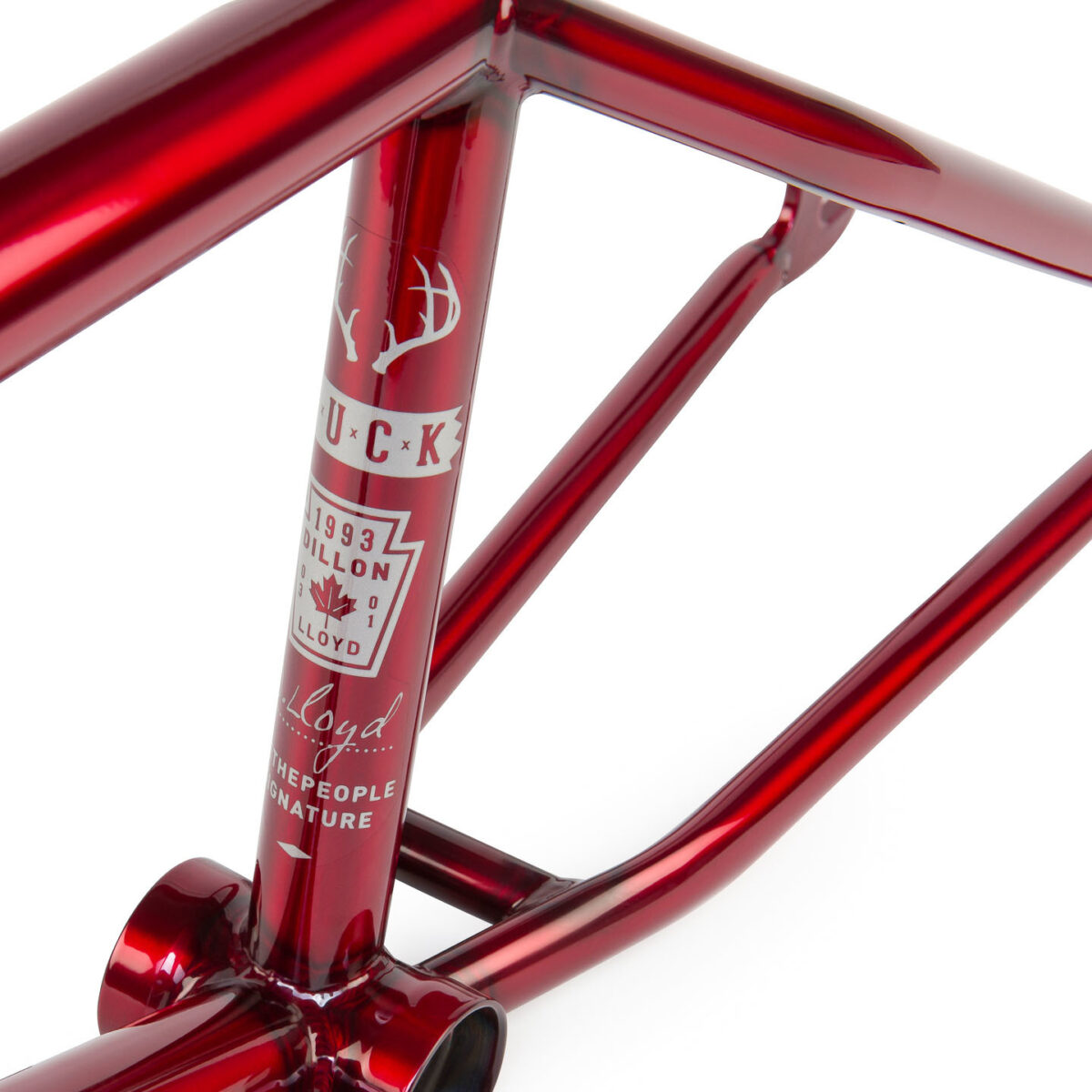 Productivity - Dillon Lloyd WeThePeople 'BUCK' Line - DigBMX