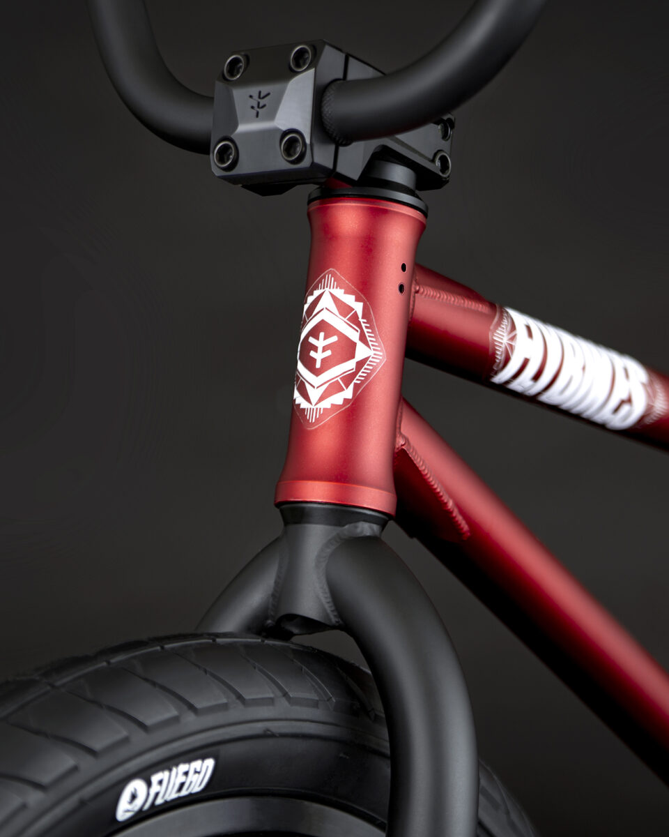 Productivity: Fly Bikes Completes 2021 - DigBMX