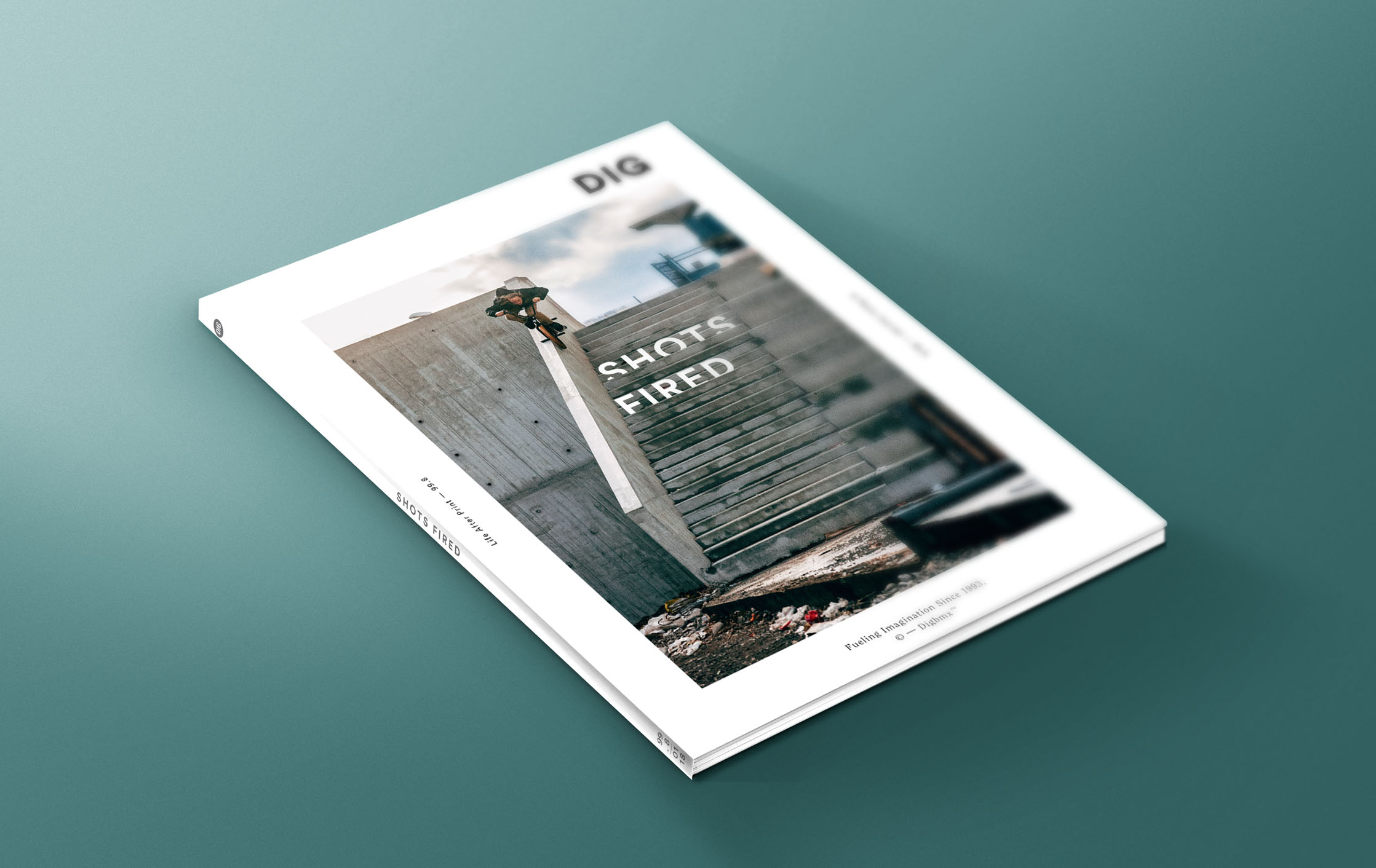 DIG 99.8 - Book Available Now! - DigBMX