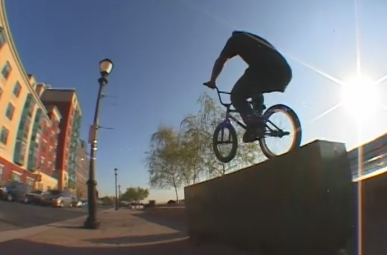 Tafari Smith 2015 - DIG BMX