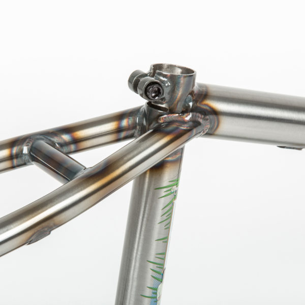 First Look : Tony Malouf's BSD Beverage Frame - DigBMX