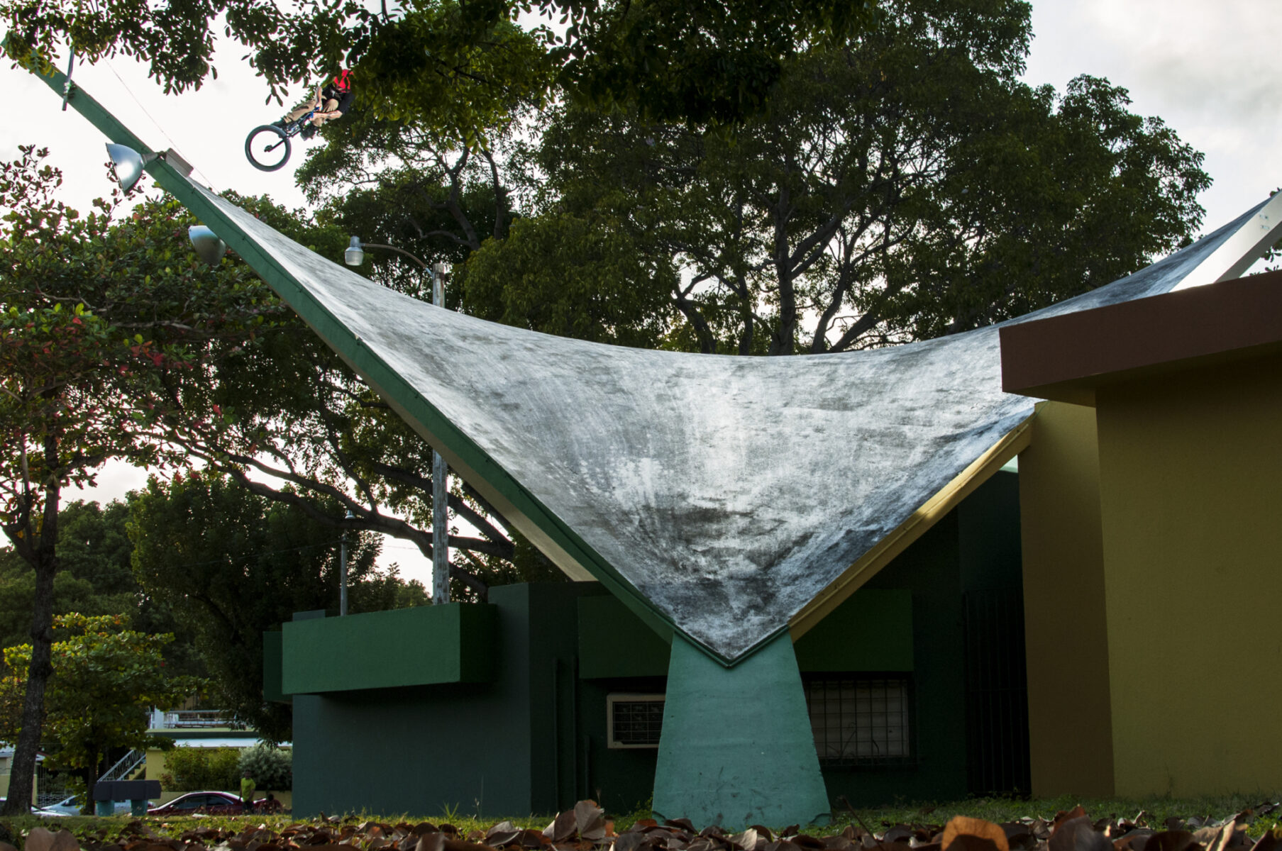 First Look : Tony Malouf's BSD Beverage Frame - DigBMX