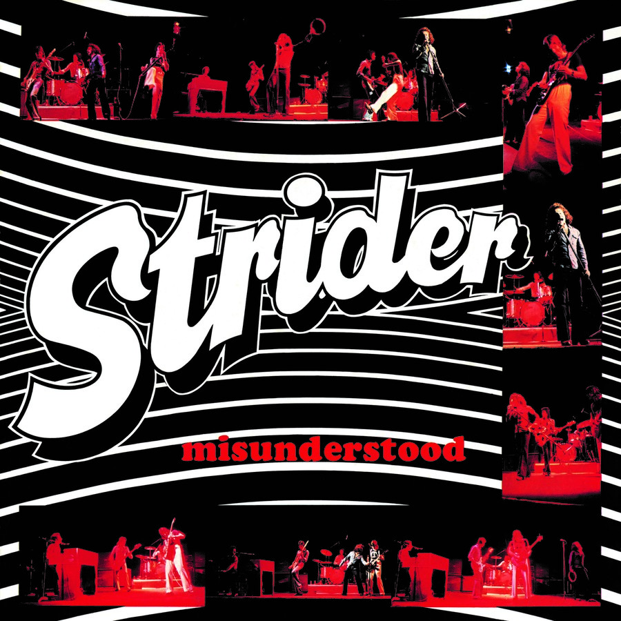 Strider Misunderstood Cd | Discoteca Laziale