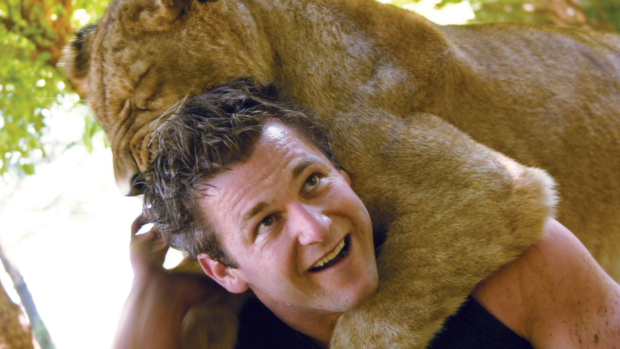 Into the Lion's Den - Discovery UK