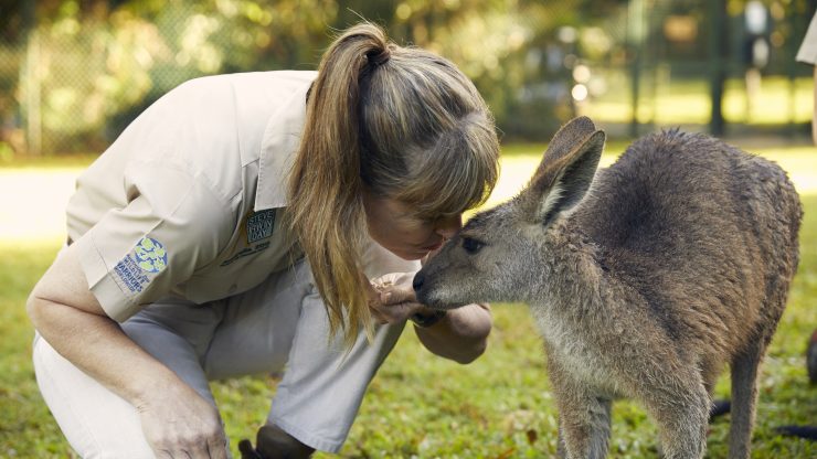 Crikey! It's the Irwins - Discovery UK
