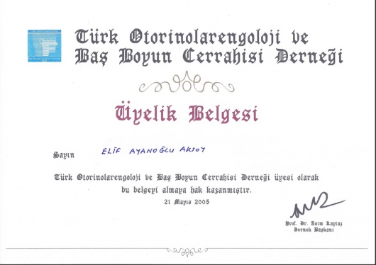 Prof. Dr. Elif Aksoy - Yorumları incele ve randevu al | DoktorTakvimi.com