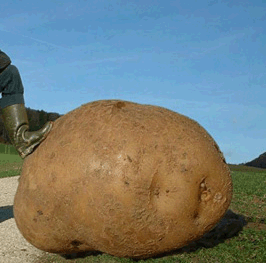 Eye Popping World Records!!