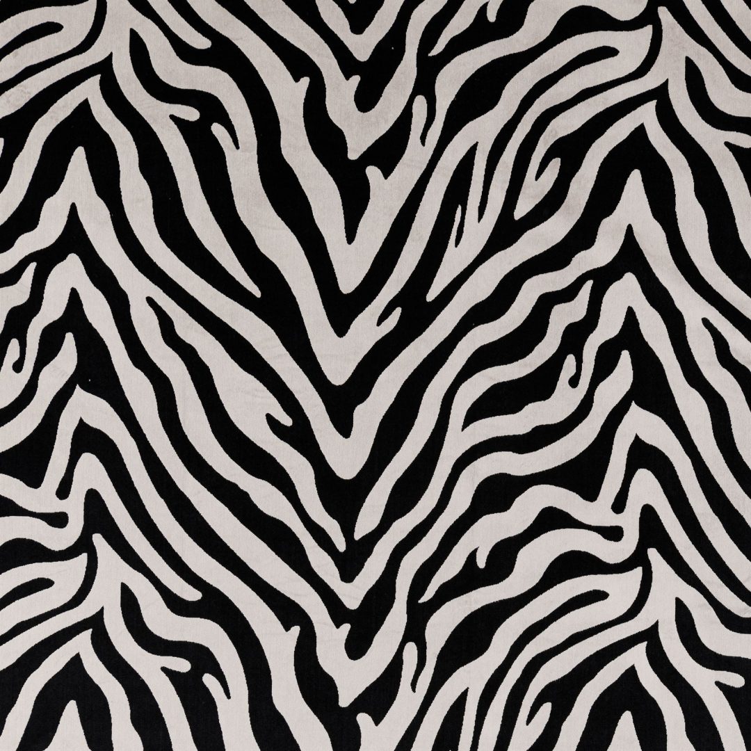 Eva - Zebra fabric | Urban Jungle | Beaumont Textiles
