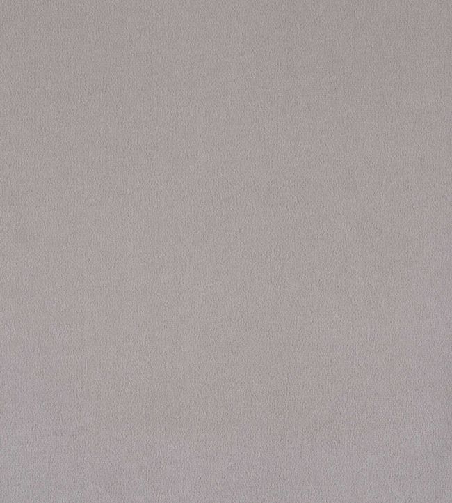 Plush Velvet - Silver fabric | Plush Velvet | Warwick