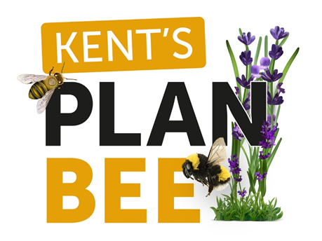 Learning About Pollinator Identification (FOR FREE!) | No Mow May | Let ...