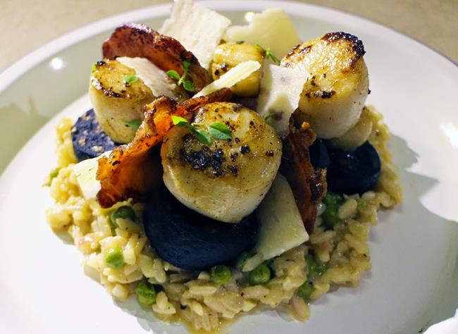 Scallop Risotto