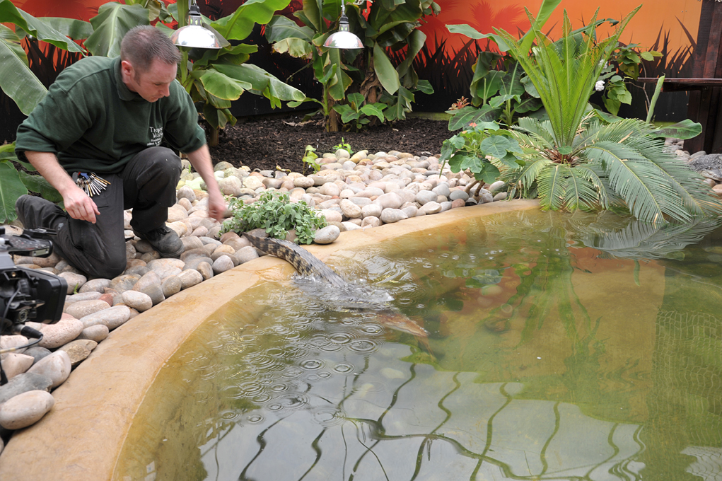 A commercial approach to our zoo boosted admissions income by 90%