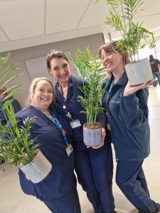 Nurse-led plant initiative improving staff wellbeing | Nursing Times