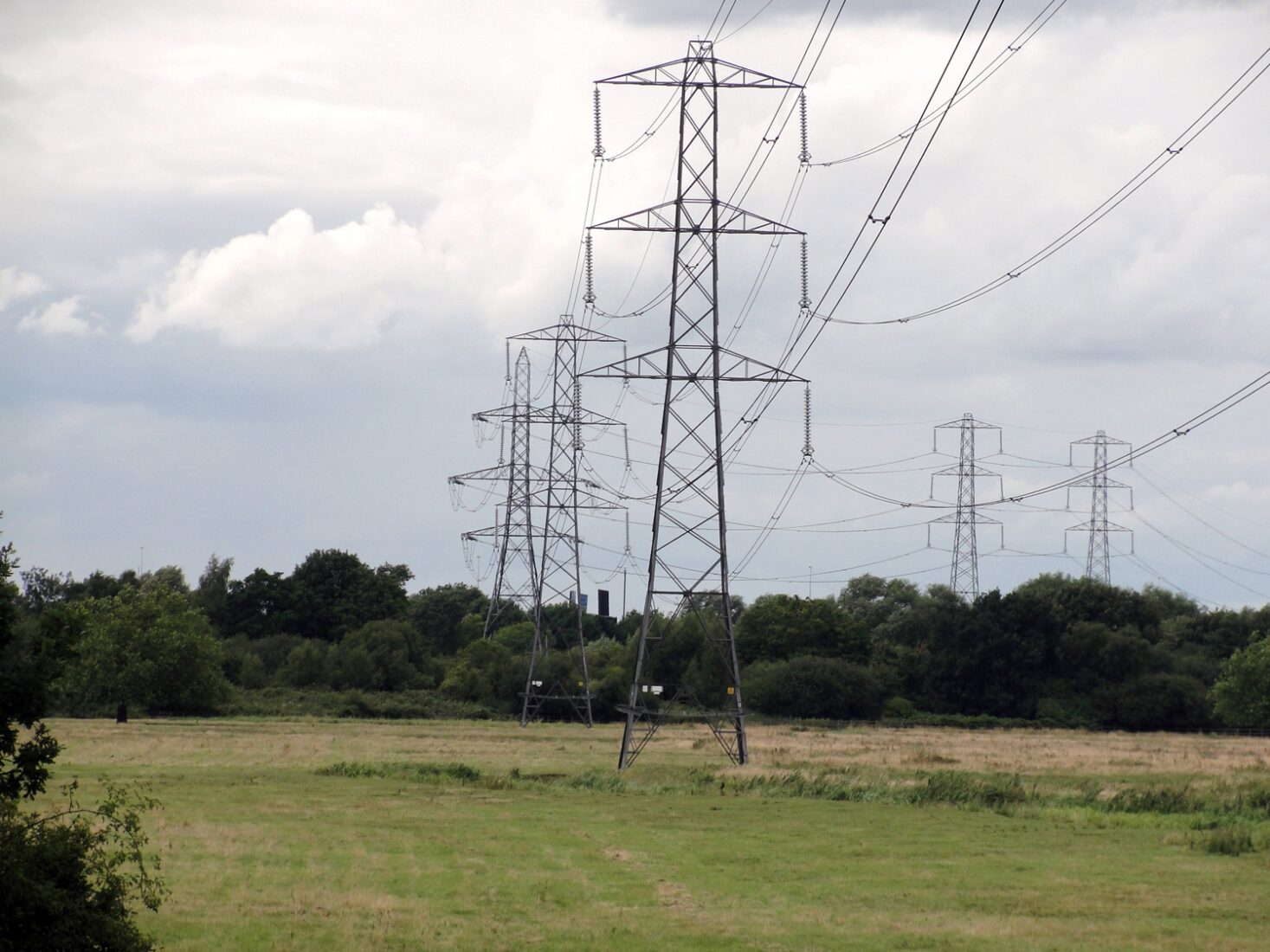 Skeletal Structures: The Essence of Engineering