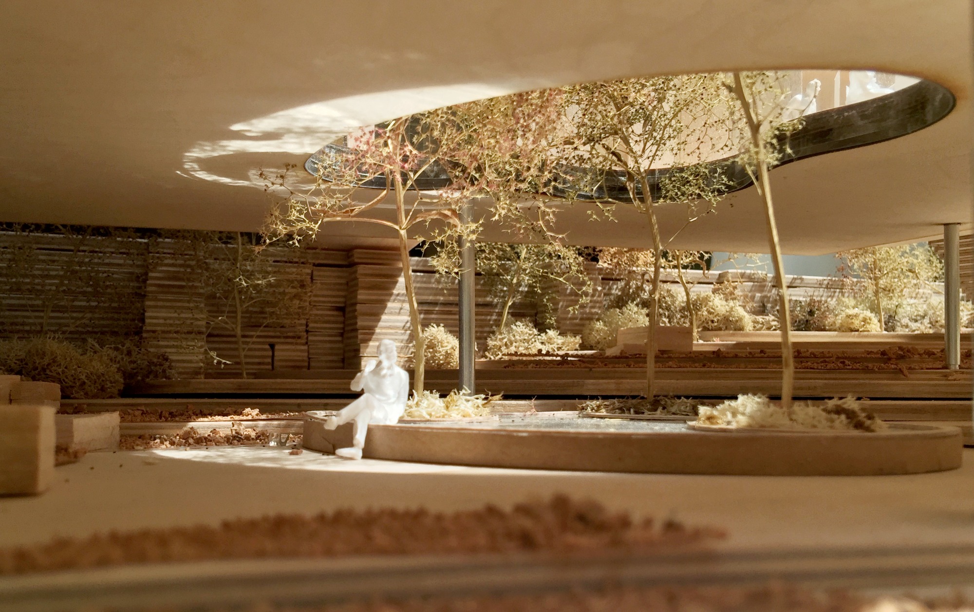 dRMM submits plans for Oldham Maggie’s