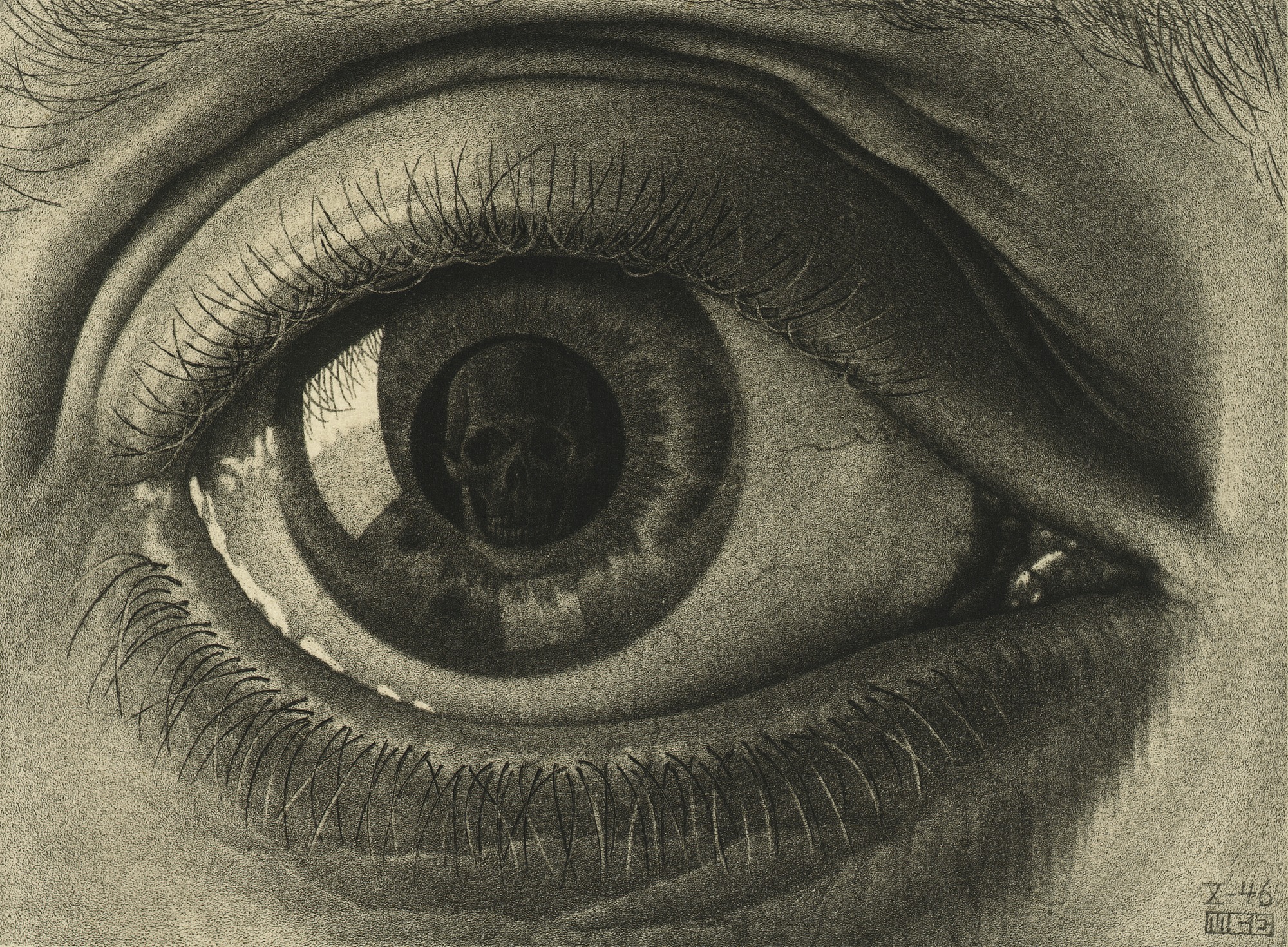 The metamorphoses of MC Escher