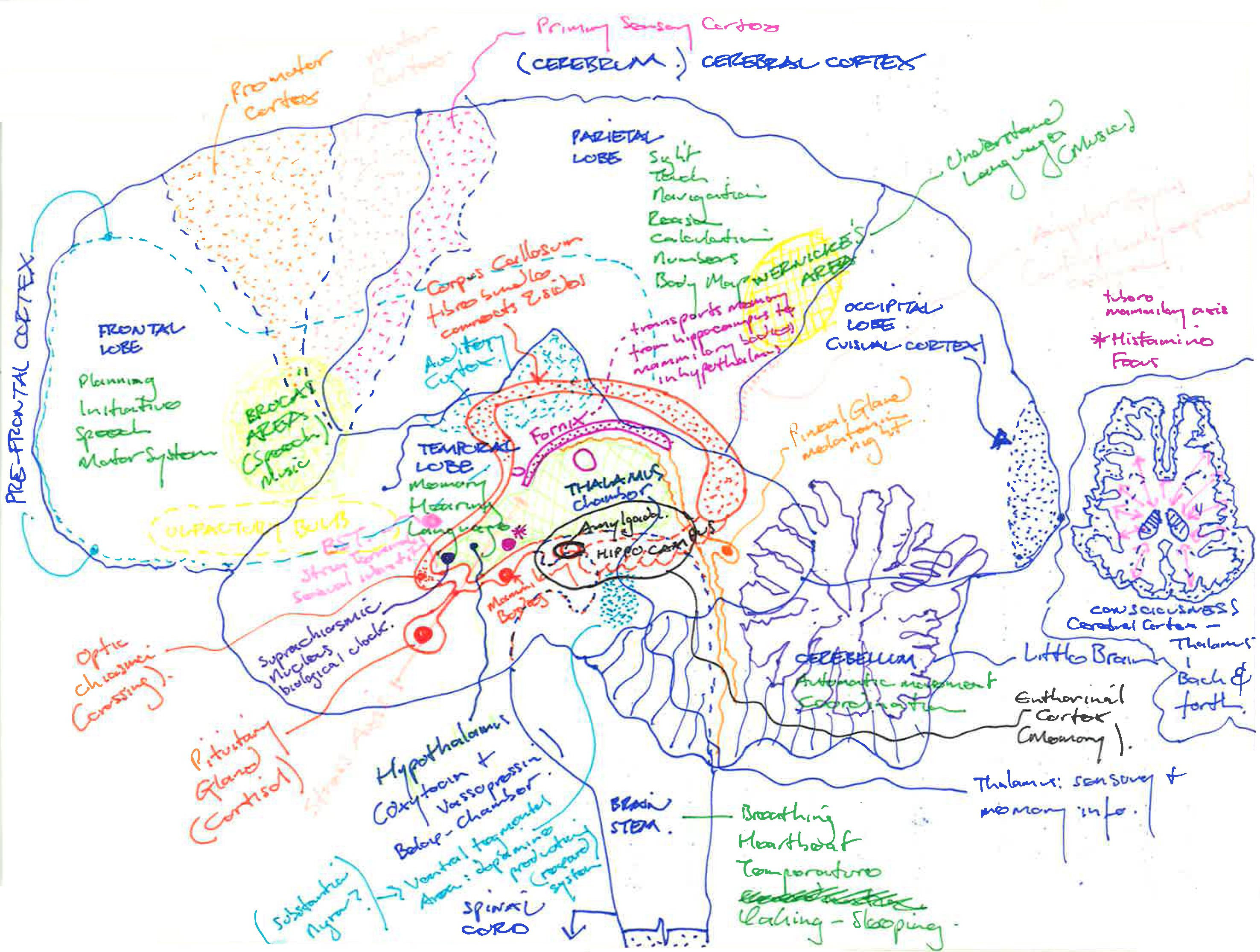 Losing myself: drawing dementia