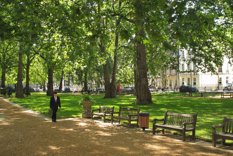 The digital tree-hugger: new tech can save threatened urban trees