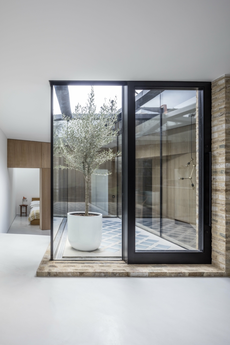 Hayhurst and Co completes light-filled windowless house on backland site