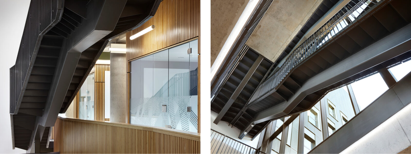 Living Systems Institute, Exeter, by Hawkins\Brown