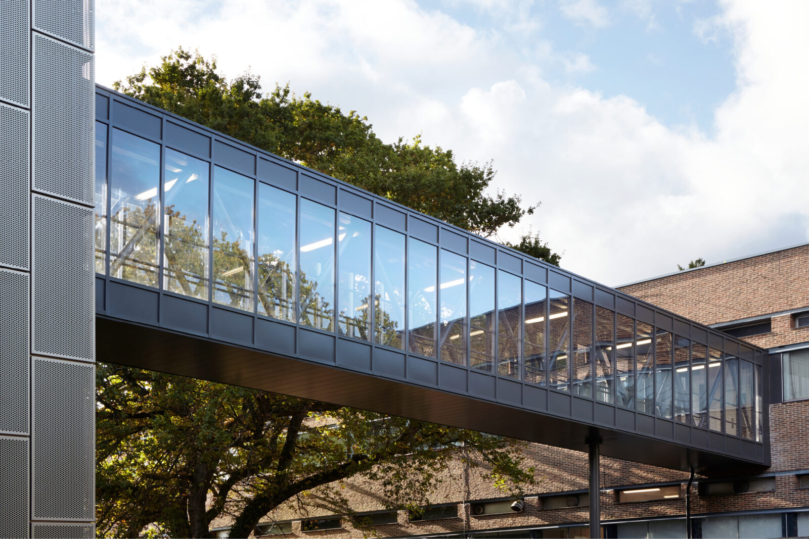 Living Systems Institute, Exeter, by Hawkins\Brown