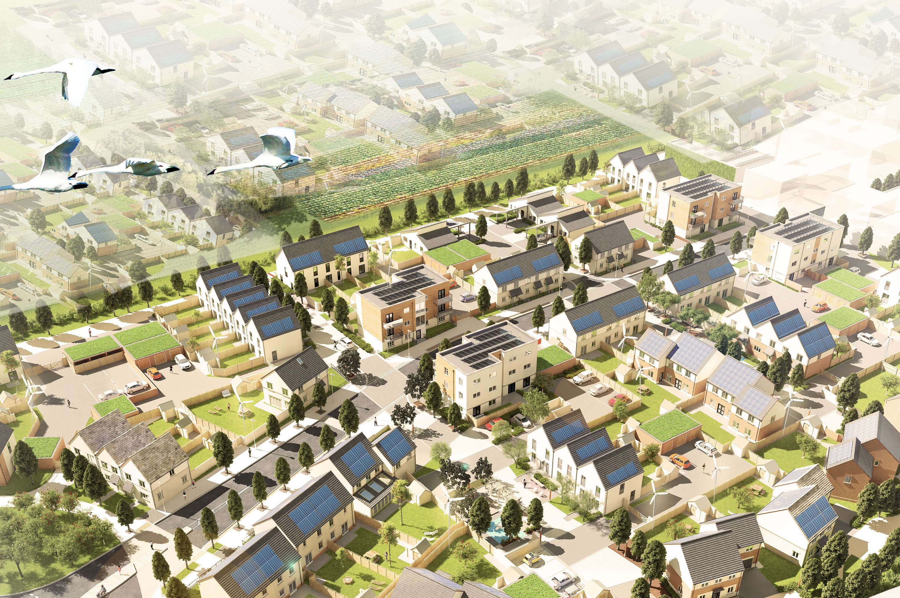 Don’t scrap garden-city principles, architects urge government Don’t scrap garden-city principles, architects urge government