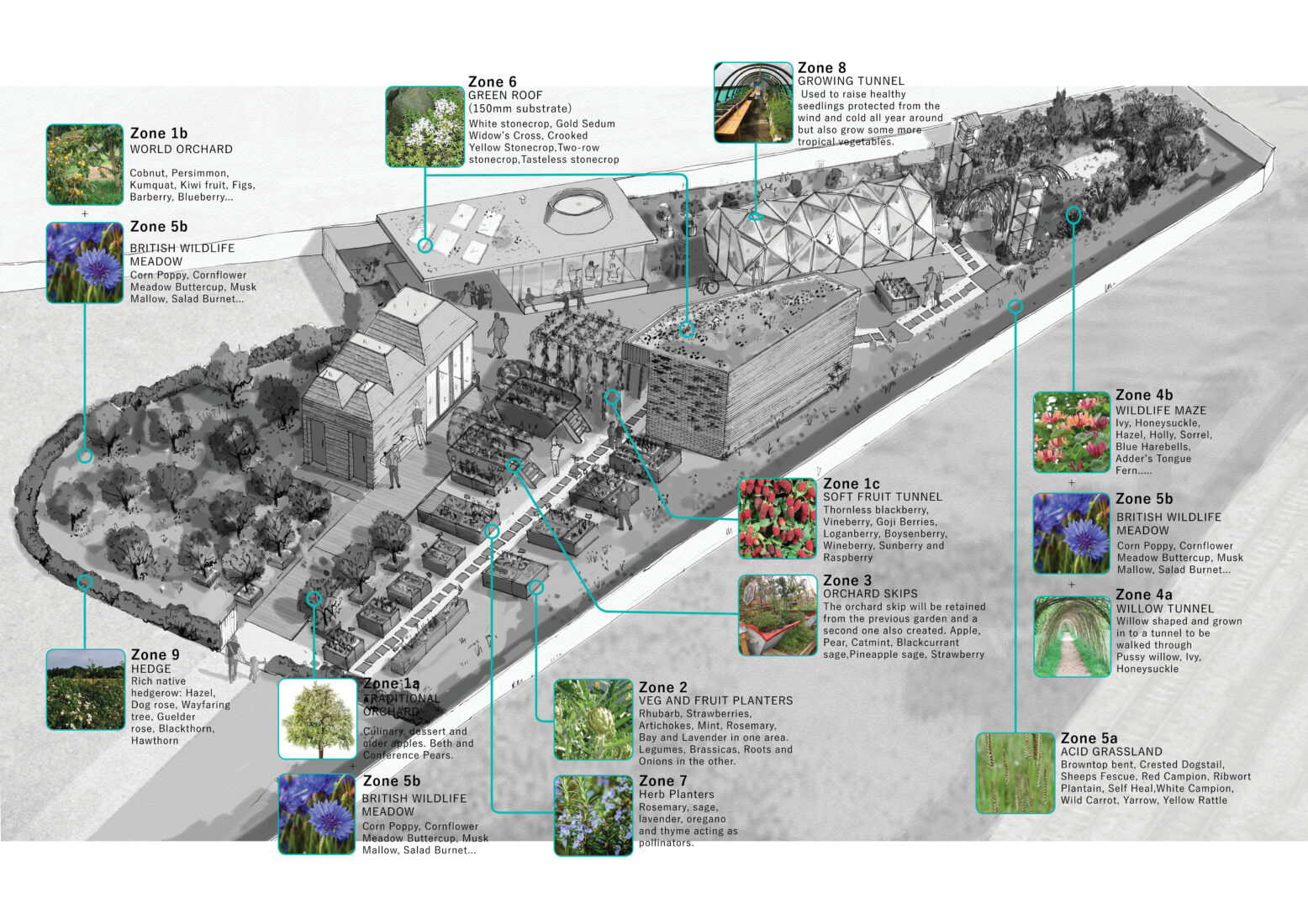 Haptic and Jan Kattein win approval for King’s Cross habitat zone and gym