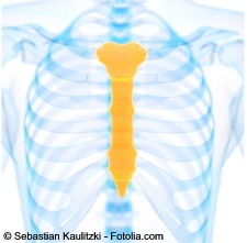 Enciclopedia Salud: Definición de Esternón