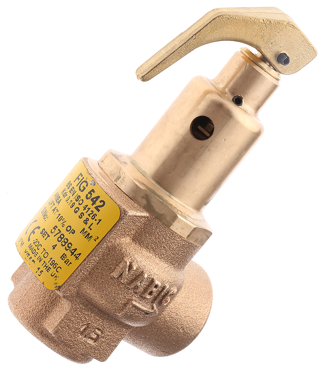 Nabic Valve Safety Products Pressure Relief Valve, 1/2in, 1/2 In BSP ...