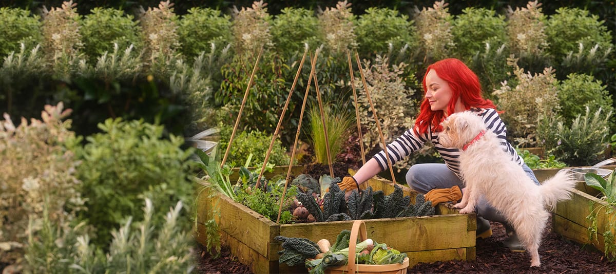 Fidelity International | ISAs, Shares, Funds & Pensions (SIPPs)