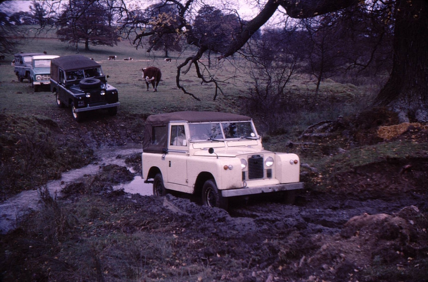 Land Rover king of the castle | Eurekar