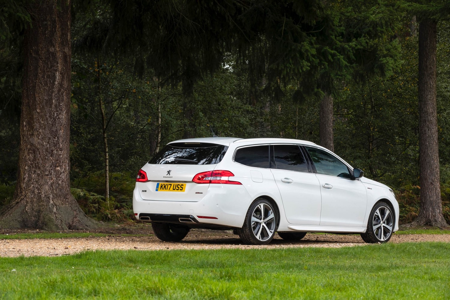 Smooth 308 for long days in the saddle | Eurekar