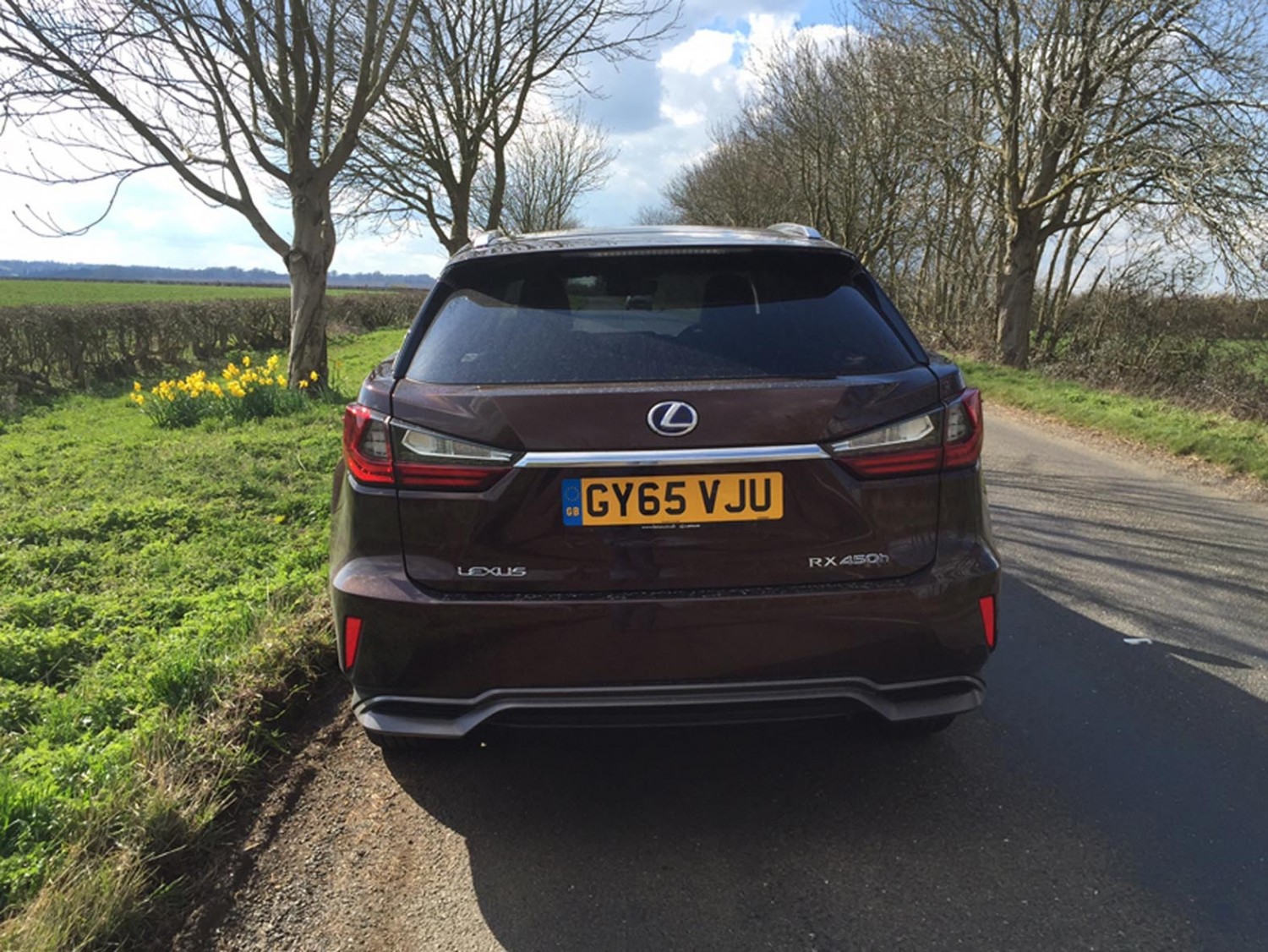 Lexus RX 450h Premier | Eurekar