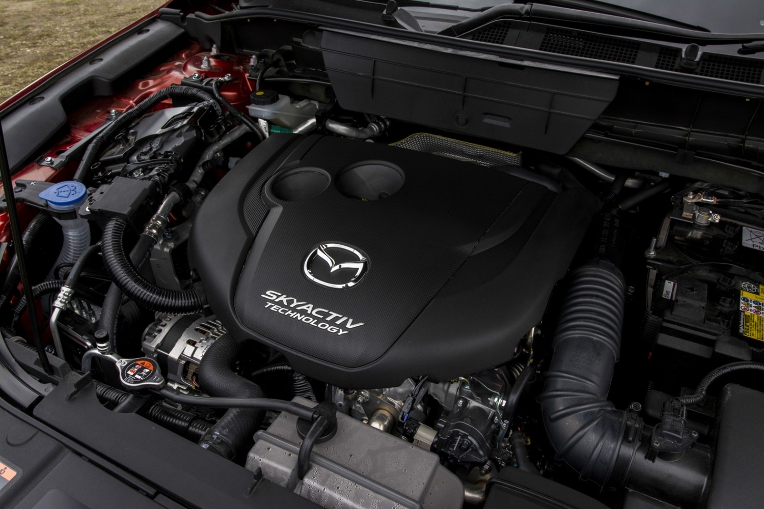 Mazda meets the beast in the east | Eurekar