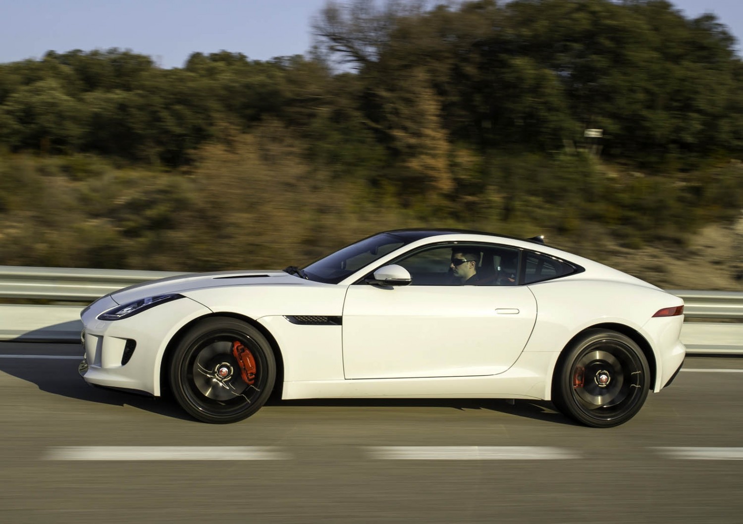 Scintillating F-Type | Eurekar