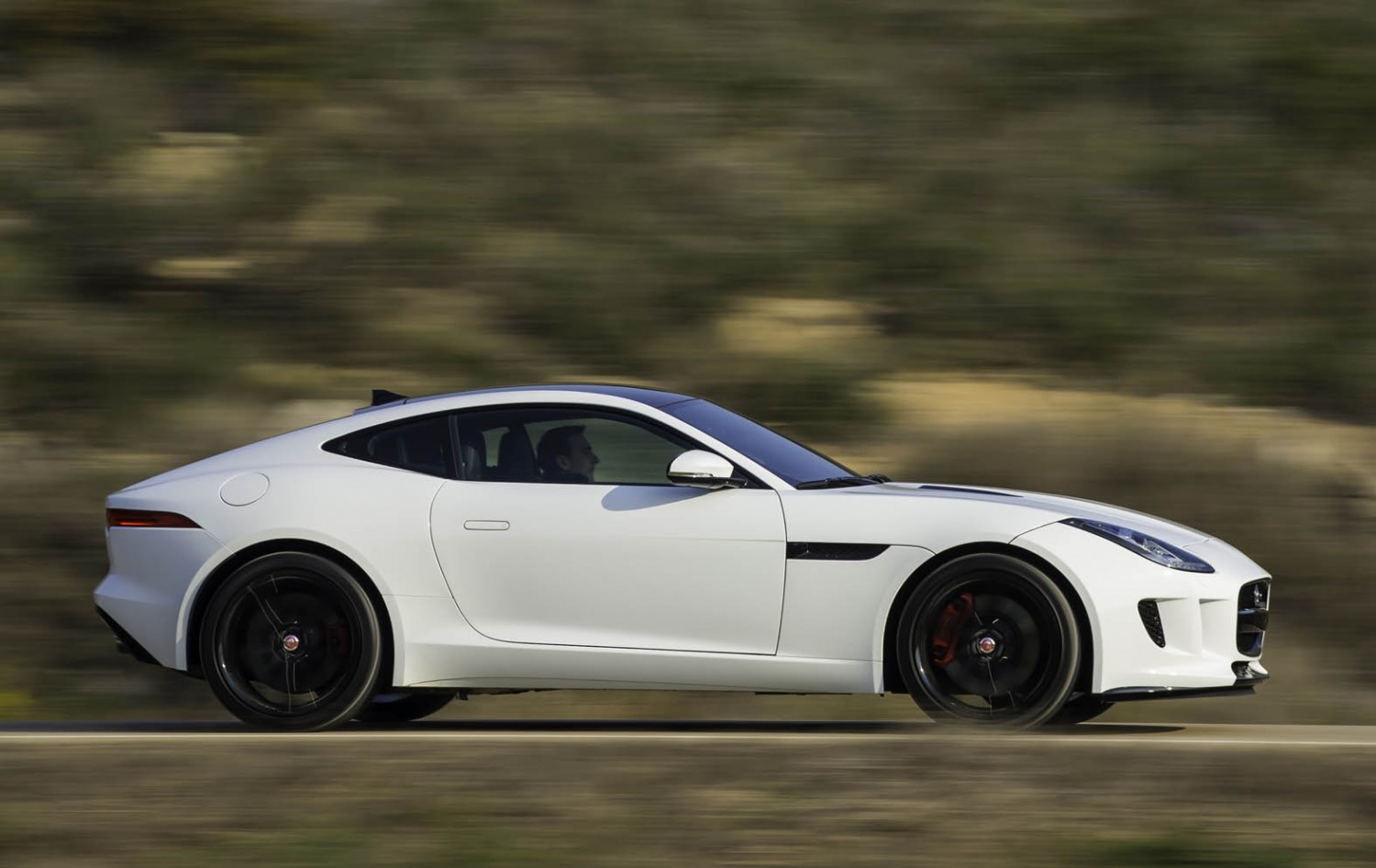 Scintillating F-Type | Eurekar