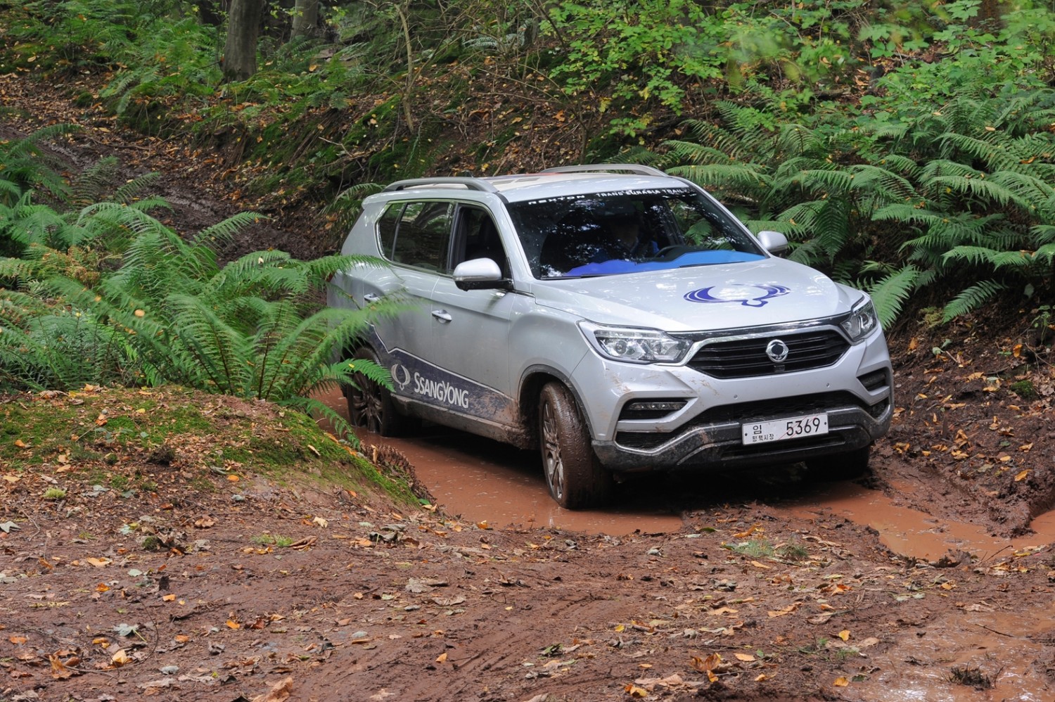 New Rexton smooths out the rough | Eurekar