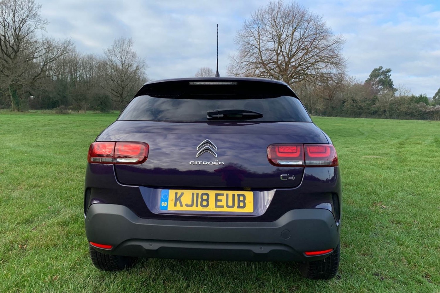 Citroen C4 Cactus Flair BlueHDi 100 | Eurekar