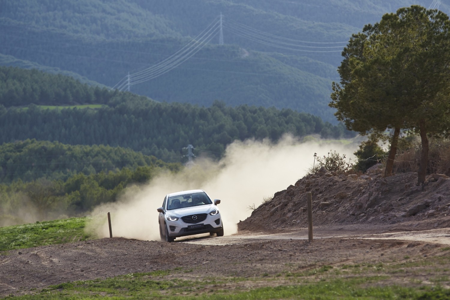 Mazda drives on the wild side | Eurekar