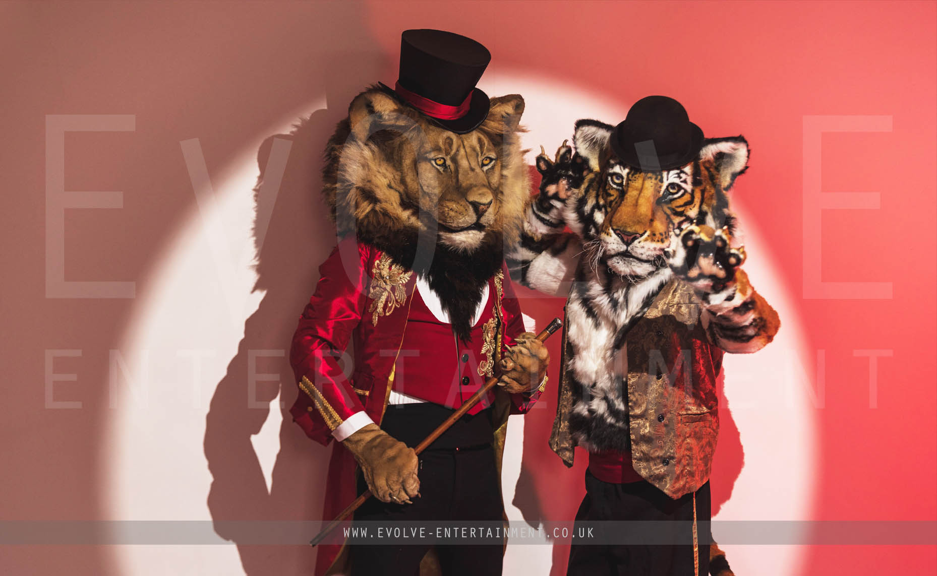 Big Cats | Circus Sideshow