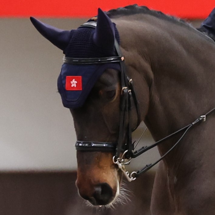 Jockey Club Juno's Whispering Angel (108NE17) | FEI.org