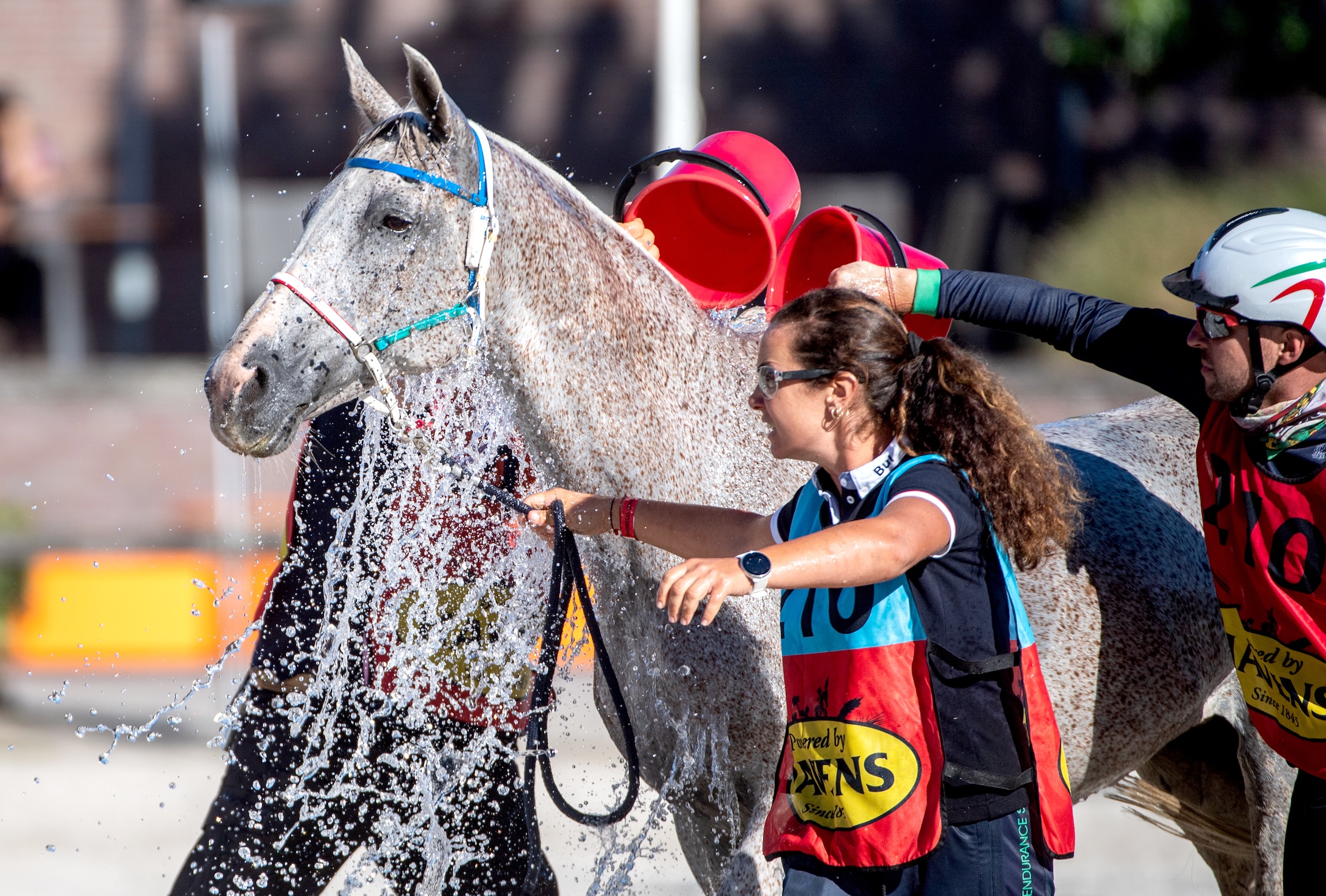 FEI Launches “Beat the Heat” Campaign for Horse and Athlete Welfare