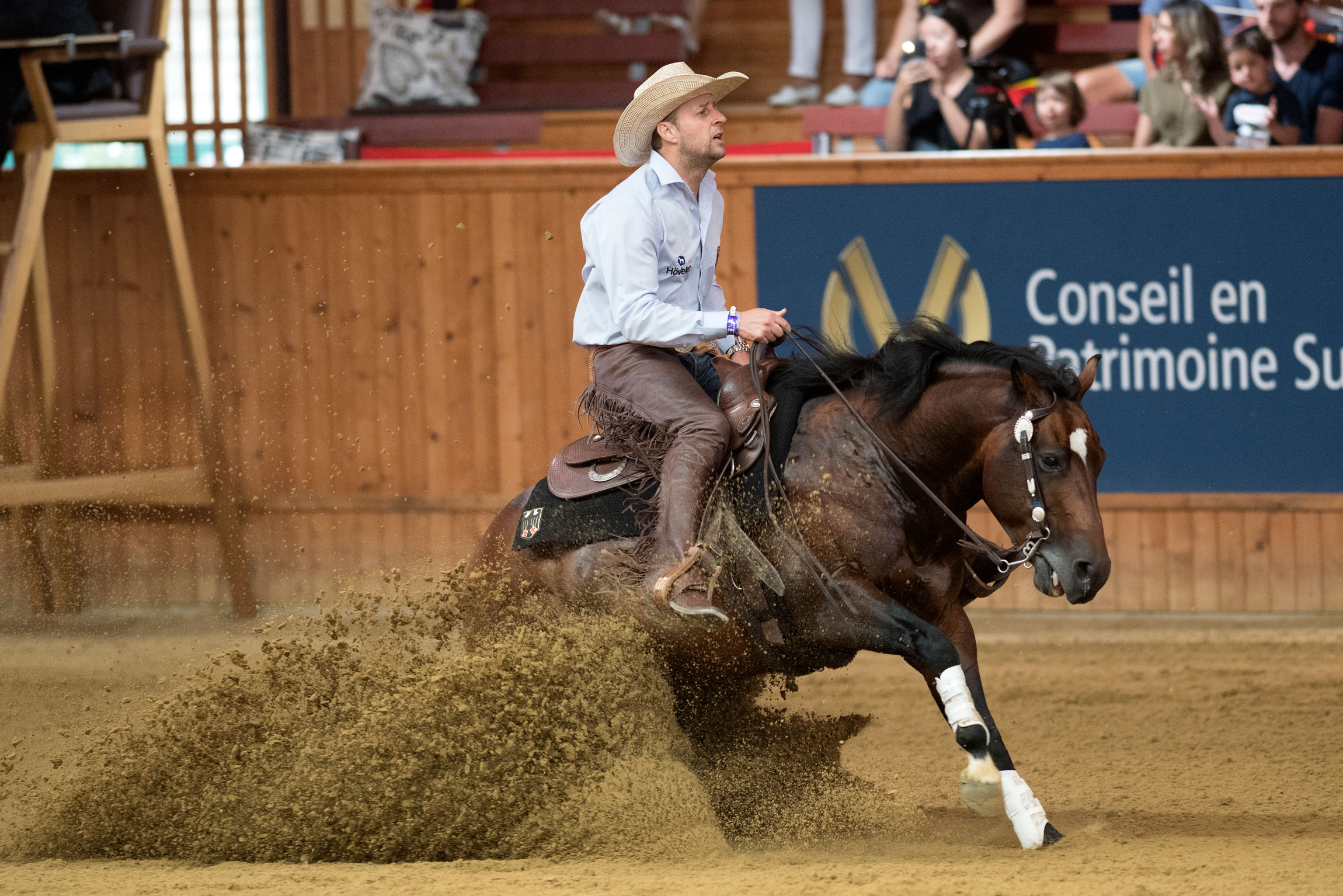 2019: Endurance, Reining & Vaulting