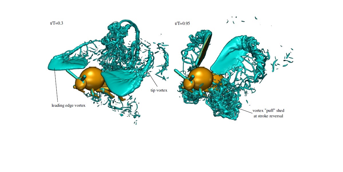 FluSI, an open source code for three-dimensional flapping flight ...