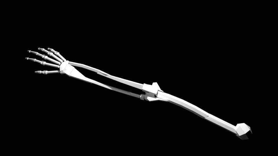 Skeleton Arm