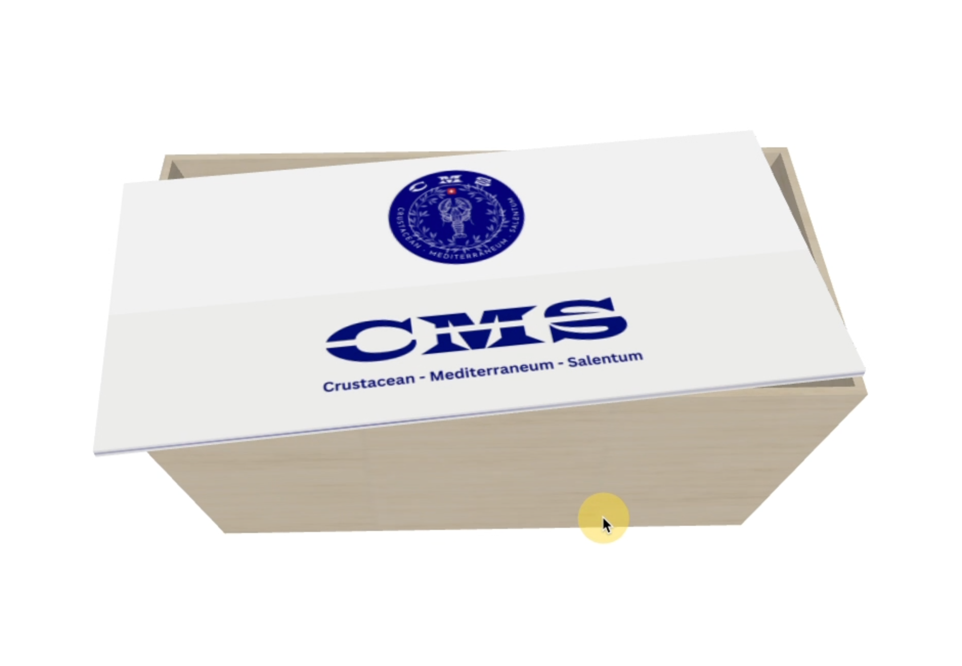 CMS Box